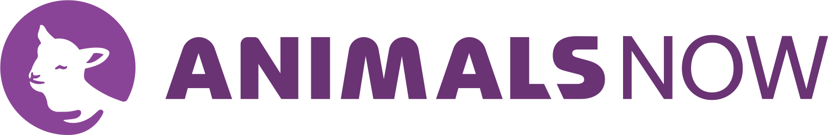 Grassroots Activity for Animals | Animals Now